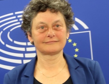 Evropska parlamentarka Tineke Strik : Ukoliko se ne povuku neustavne ...